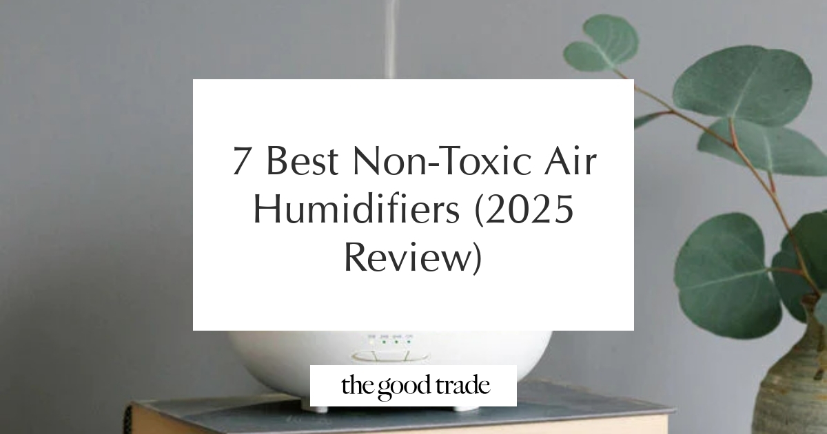 7 Best Non-Toxic Air Humidifiers (2025 Review) - The Good Trade