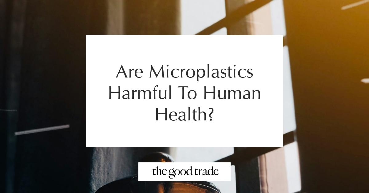 Are Microplastics Harmful To Human Health? - The Good Trade